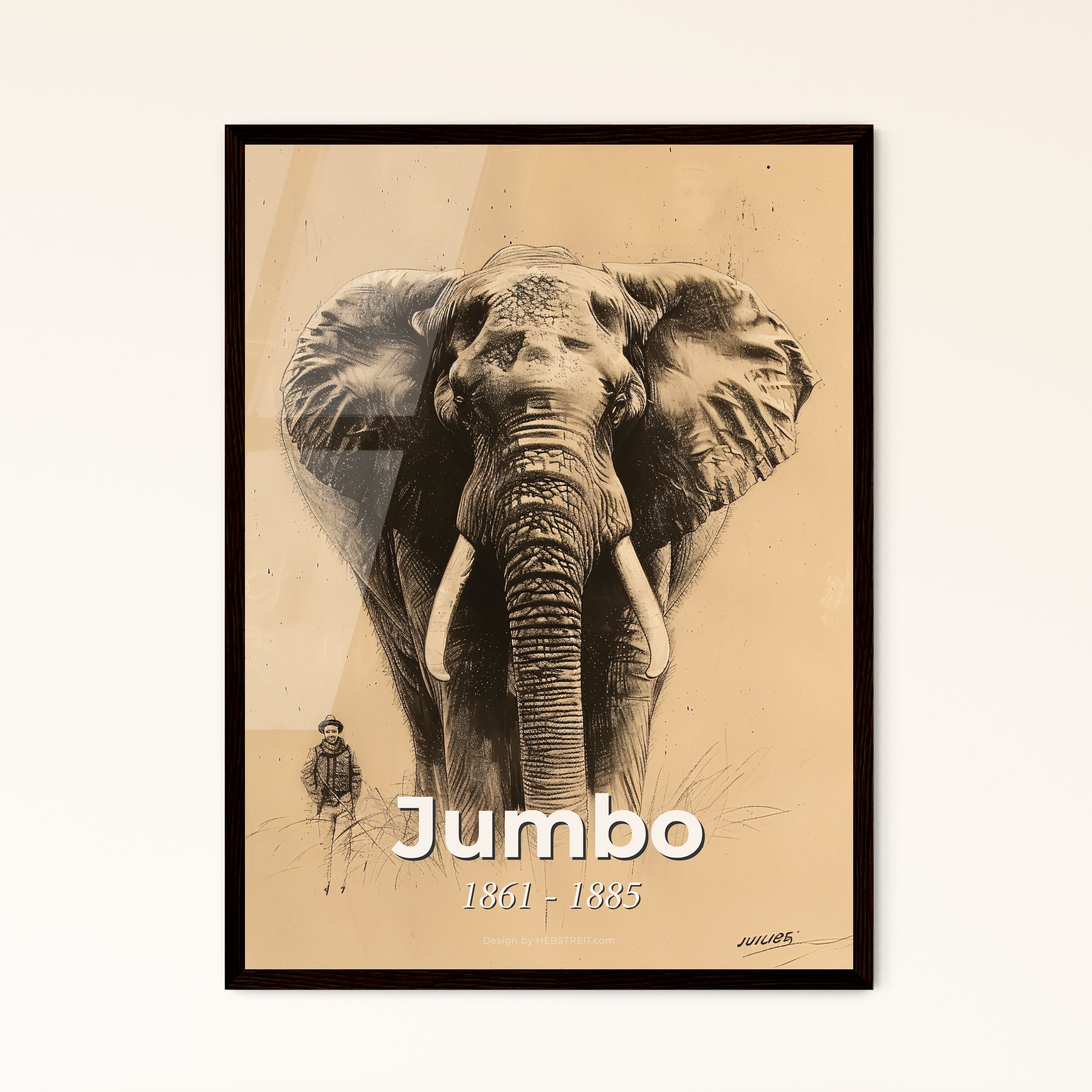 Jumbo, 1861 - 1885, African elephant - An Elephant With Tusks And A Man ...